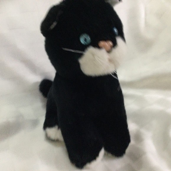 River Blue | Toys | River Blue Cat Plush Blue Eyes Stuffed Animal Black ...